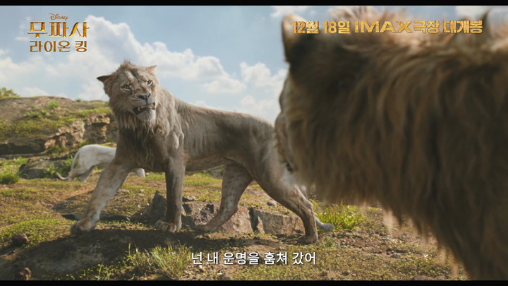 '심바 아빠' 어린 시절...'무파사: 라이온 킹', 12월 개봉일 확정
